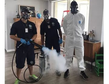 Miami Mold Specialist | Miami Beach Mold Inspection, Testing, Mold ...