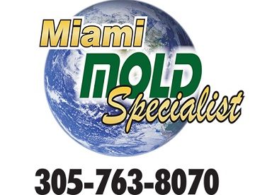 Miami Mold Specialist | Miami Beach Mold Inspection, Testing, Mold ...