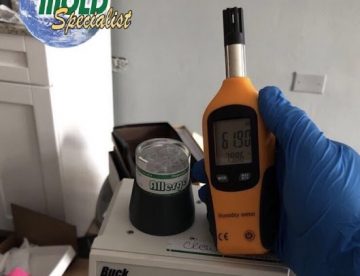 Miami Mold Specialist | Miami Beach Mold Inspection, Testing, Mold ...