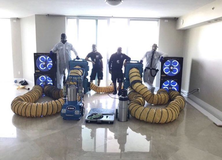 South Florida Mold Remediation Service Process | Miami Mold Specialist