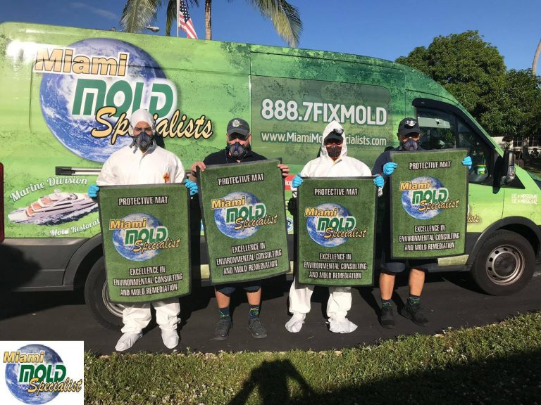 mold-south-florida – Miami Mold Specialist