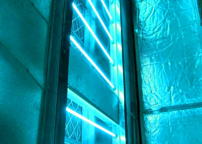 How Long Does it Take for UV Light to Kill Mold | Miami Mold Specialist