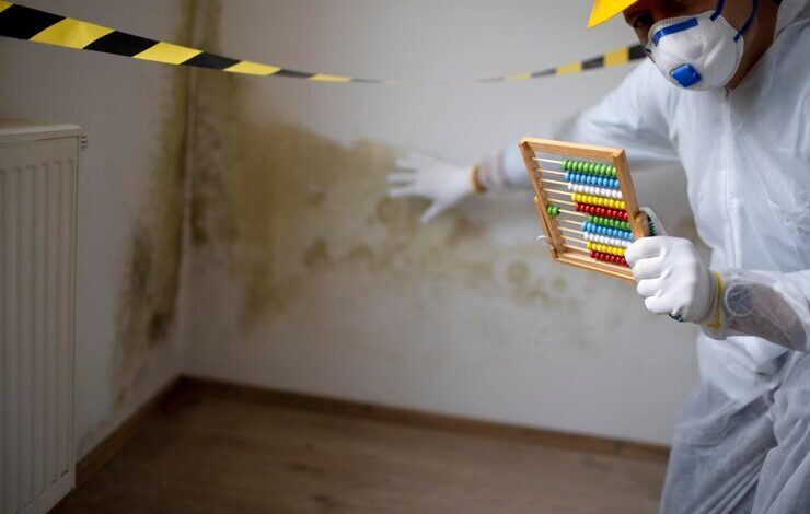 Mold Removal Cost: Professional Service Worth the Expense | Miami Mold ...
