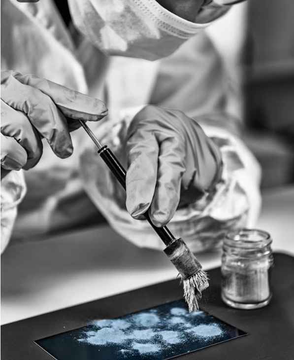 What Are the Benefits of Professional Mold Testing Services? | Miami ...