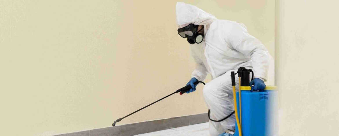 How to Remediate Mold? | Miami Mold Specialist in 2025 | Miami Mold ...