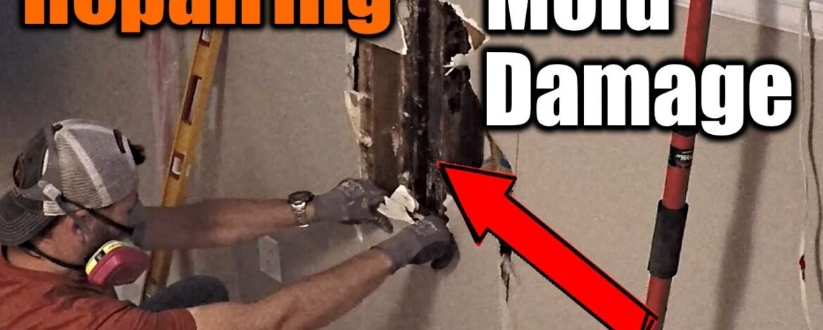 Mold Damage Repair in Miami FL 2025 | Restore Your Home | Miami Mold ...