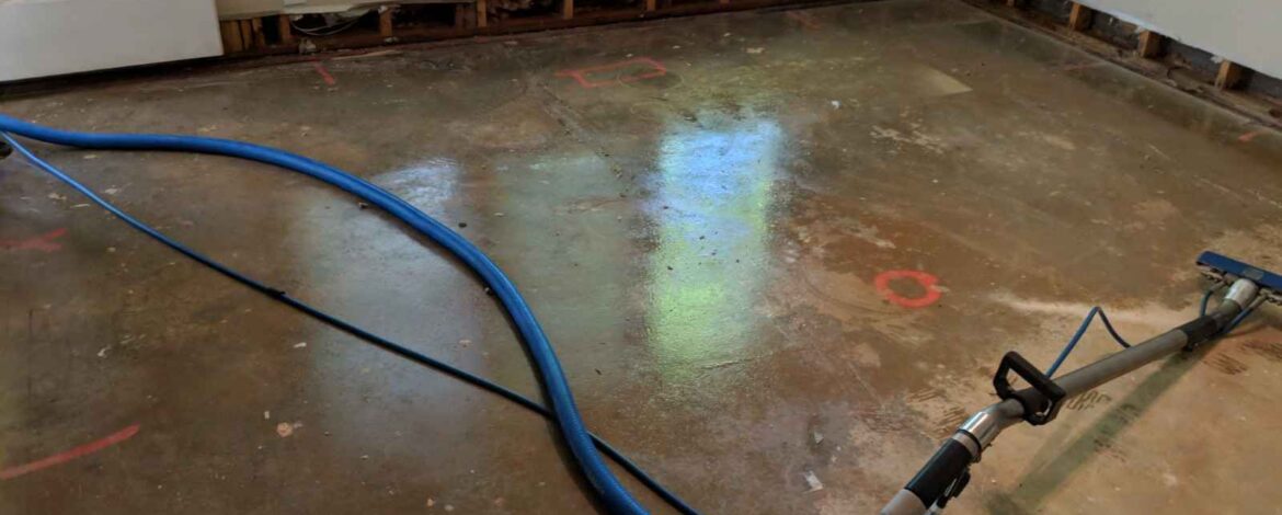 Water and Mold Restoration Experts in Miami 2025 | Guide | Miami Mold ...