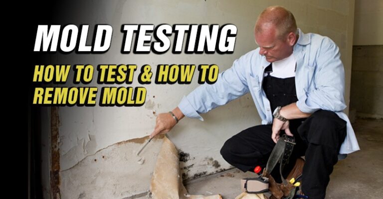 How to Mold Testing & How to Remove Mold in Miami Florida | Miami Mold ...