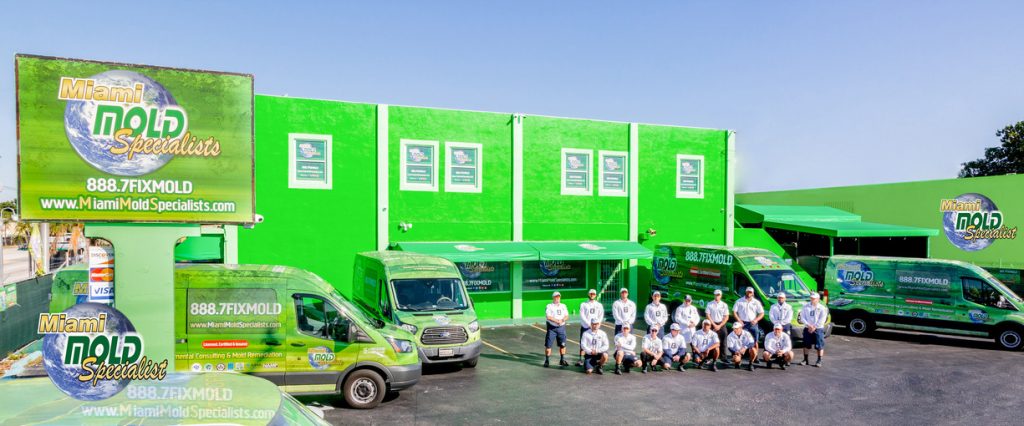 Mold Inspection Ships: Keep Vessel Safe, Clean, & Mold-Free | Miami ...